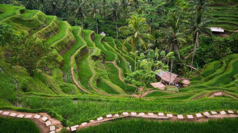Bali: Bedugul Private Tour with Driver-Guide - The Experience of the Drive and Guides