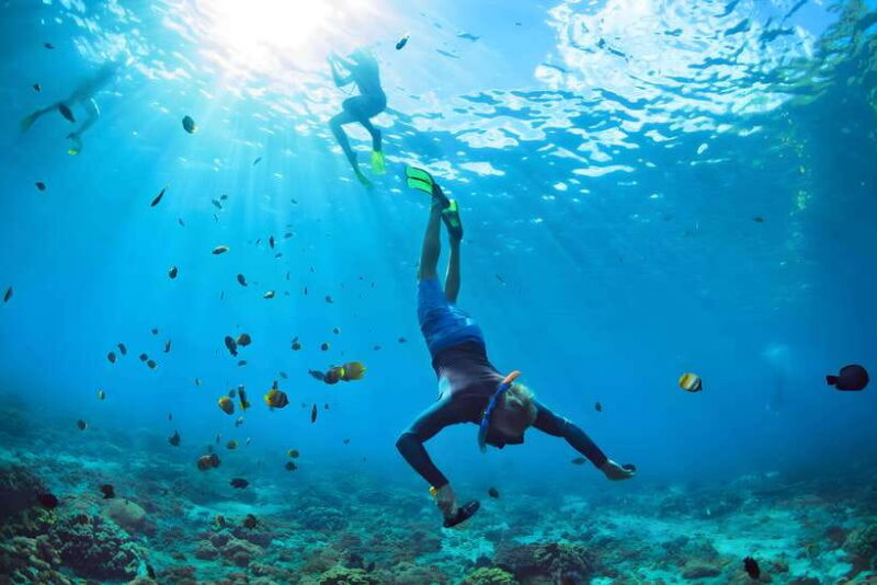 Bali: Blue Lagoon and Tanjung Jepun Snorkeling Tour - Final Thoughts