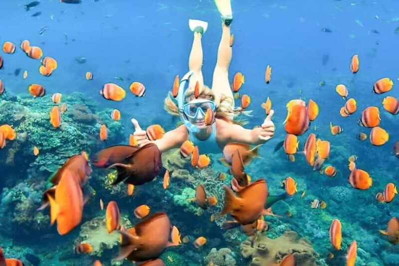 Bali: Blue Lagoon Snorkeling Tour with Bali Quad Bike - Practical Tips for Your Day