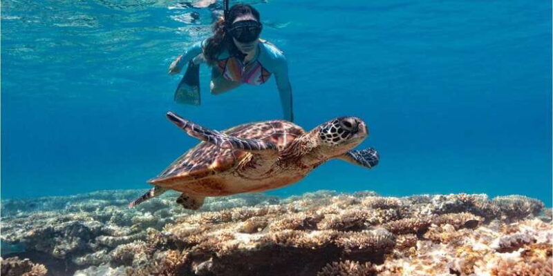 Bali: Blue Lagoon Snorkeling with Lunch & Transport - Practical Tips for Visiting