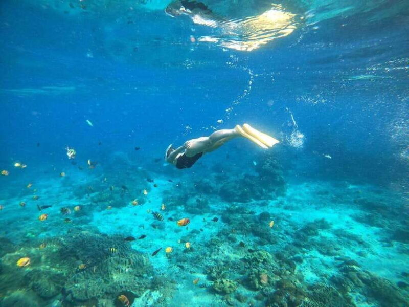 Bali: Blue Lagoon Snorkeling with Meal - Final Thoughts: Is It Worth It?