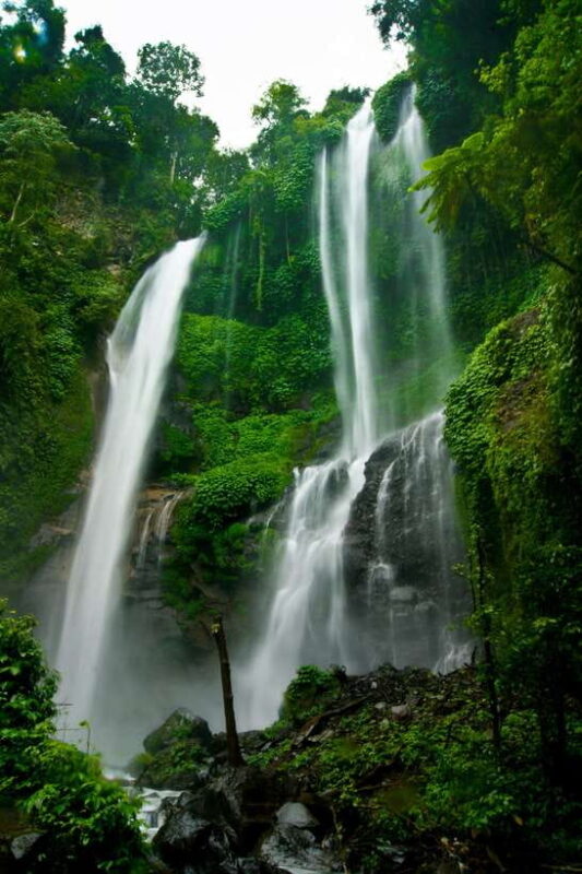 Bali: Dolphin Watching, Sekumpul Waterfall, and Wanagiri - Final thoughts