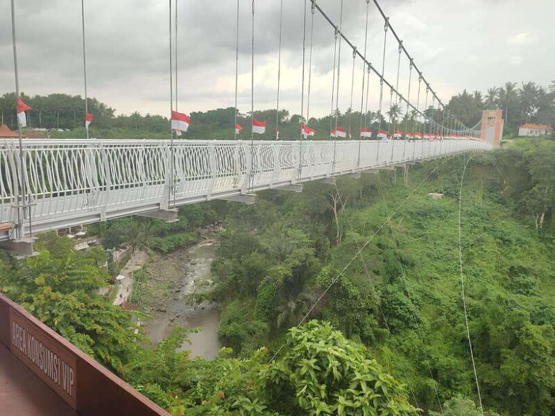 Bali: Glass Bridge Admission Ticket - What You’ll See and Feel