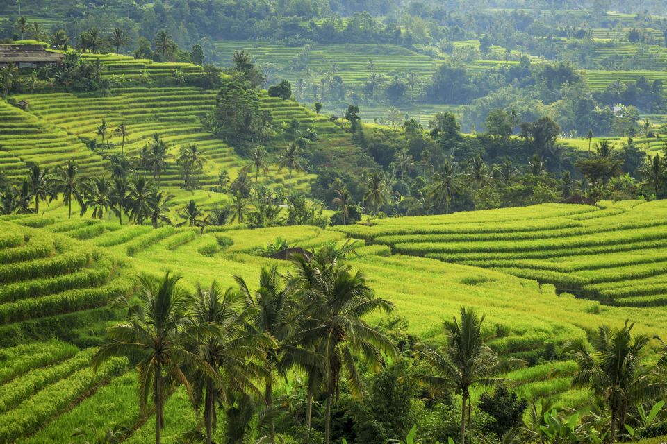 Bali: Jatiluwih Rice Terraces 1 Hour Electric Bike Tour - FAQ