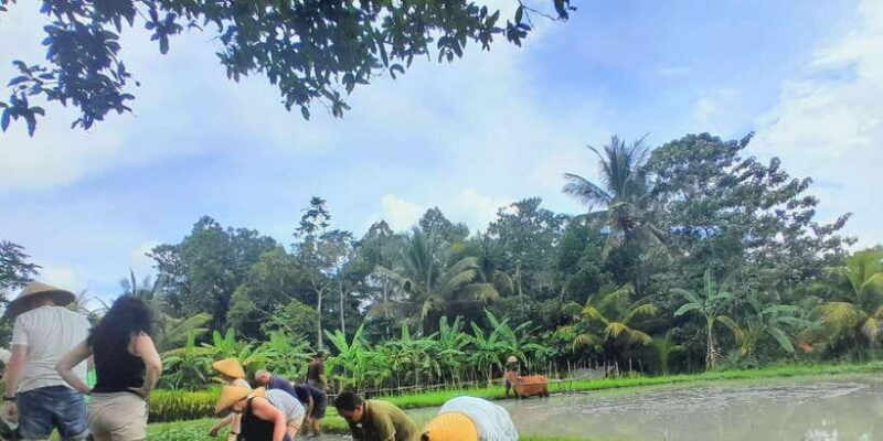 Bali: Legung Luwih Tabanan Village Activities - Final Thoughts