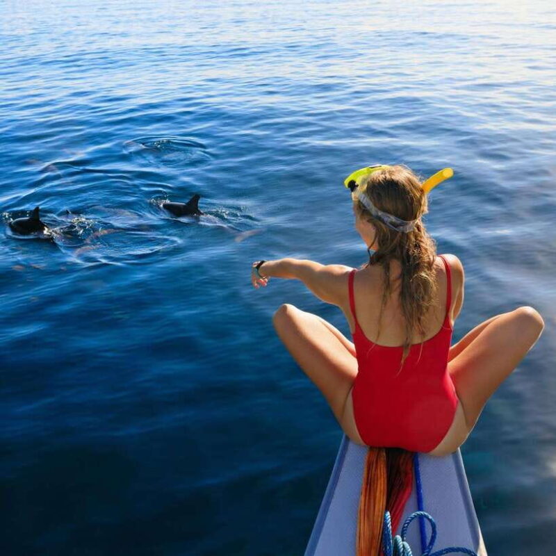 Bali: Lovina Dolphin Watching and Snorkeling Tour - What’s Included and What You Should Bring