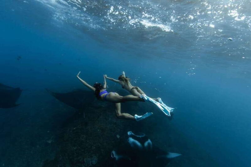 Bali: Nusa Penida Speedboat Trip with Snorkeling and Tour - Who Should Consider This Tour?