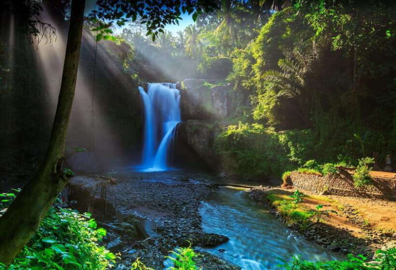 Bali: Penglipuran Village, Rice Terrace & Waterfall Tour - What to Expect: Practical Details