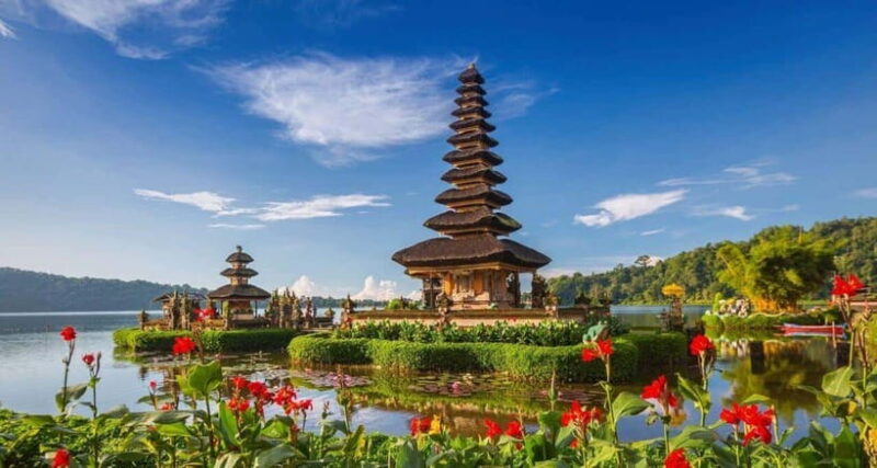 Bali: Picnic with Alpacas/Donkeys and Temple Tour - Detailed Review of the Experience