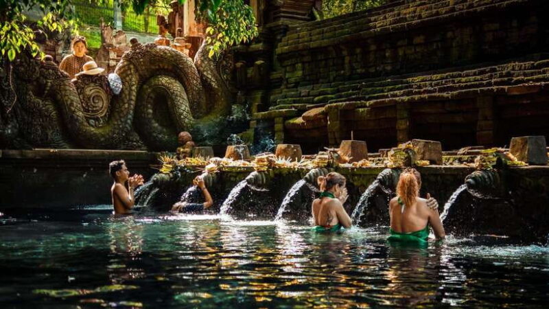 Bali: Private Custom Tours with Chauffeur - What You Can Expect on the Day