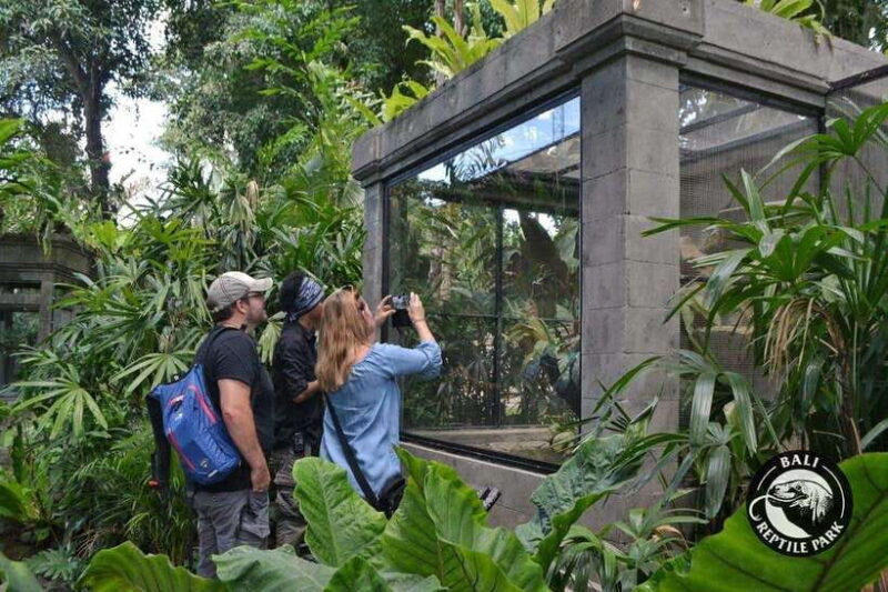 Bali Reptile Park 1-Day Admission Ticket - Detailed Breakdown of the Experience