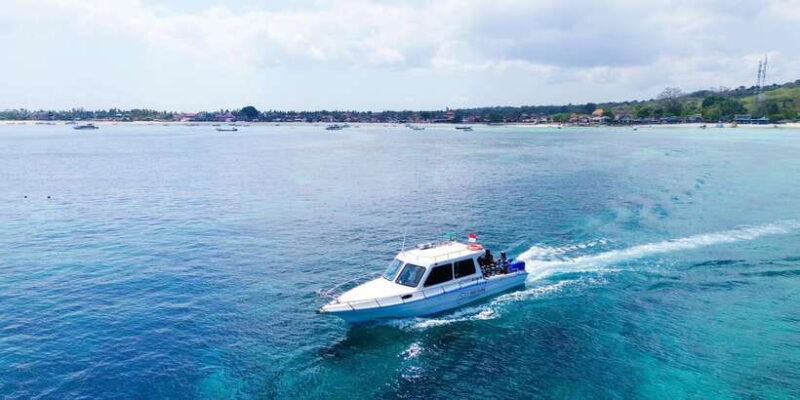 Bali Sanur: Snorkeling day trip to Nusa Penida 3 sites - The Marine Sites: What Makes Them Special?