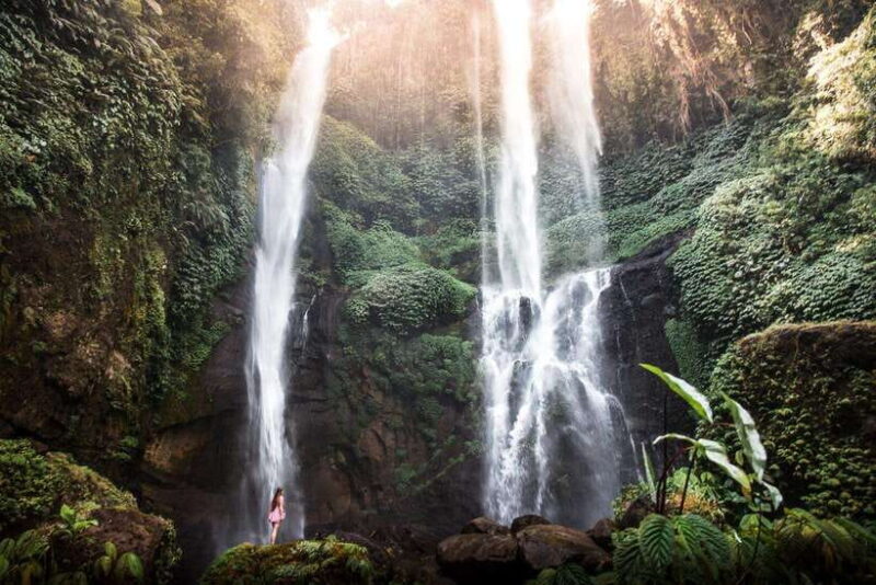 Bali: Sekumpul and Aling Aling Waterfall Tour with Lunch - Who Will Love This Tour?