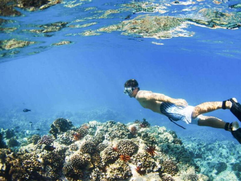 Bali: Snorkeling at Blue Lagoon and Tanjung Jepun with Lunch - Post-Snorkeling Relaxation at Bias Tugel Beach