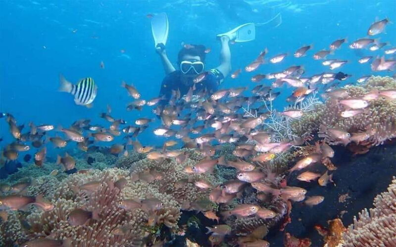 Bali: Snorkeling Tour with USAT Liberty Shipwreck - FAQ