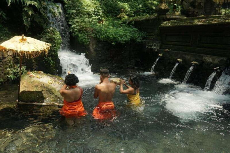 Bali: Ubud Spiritual Cleansing and Meditation Healing Tour - What Previous Travelers Say