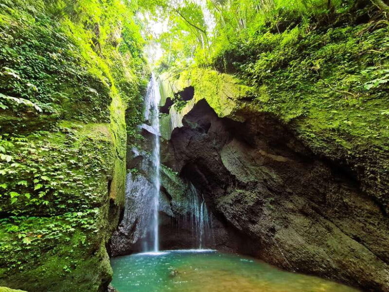 Balis Mystical Jungle Trek & Hidden Waterfall Adventure - Who Should Consider This Tour?