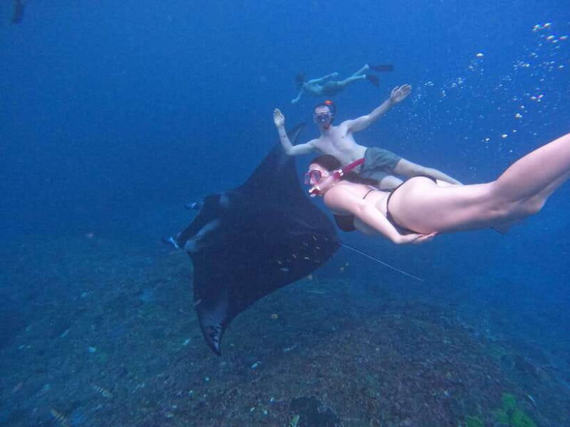 Bali:Snorkling with manta and west trip Nusa Penida - Practical Details and Considerations