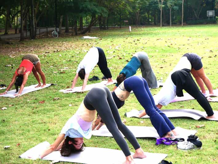 Bangkok: Lumpini Park Yoga Experience - The Itinerary Breakdown