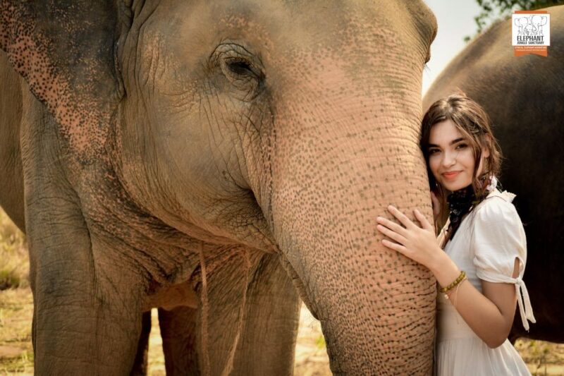 Bangkok: Pattaya Elephant Jungle Sanctuary Half-Day Tour - Detailed Breakdown of the Itinerary