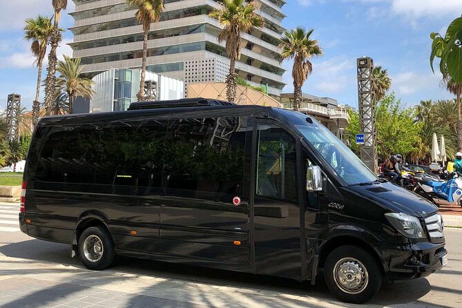 Barcelona City Private Tour 4 hours (From 2 to 16 passengers) - What the Reviews Say