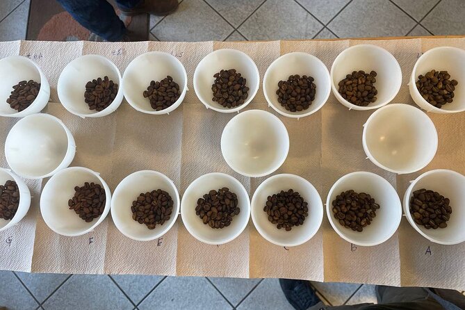 Barista Skills Foundation Course in Ljubljana - The Sum Up: Who Will Love This Experience?