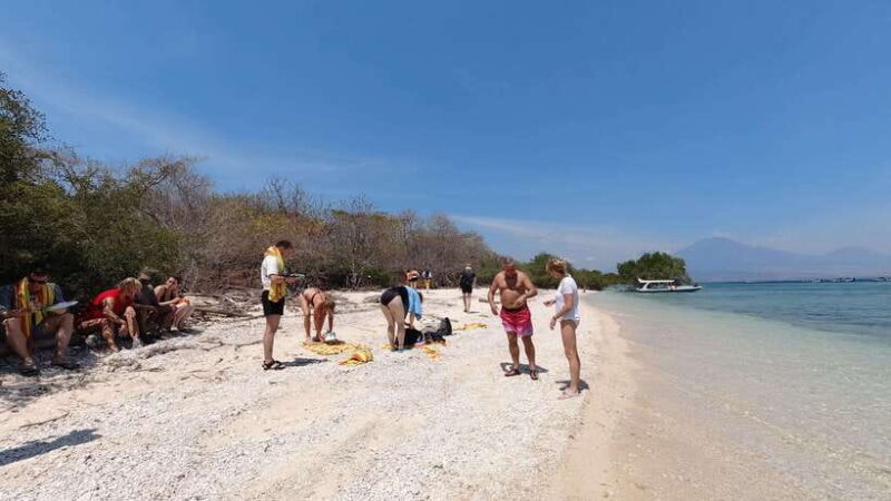 Basic Snorkeling Menjangan Island - What You Can Expect During the Tour