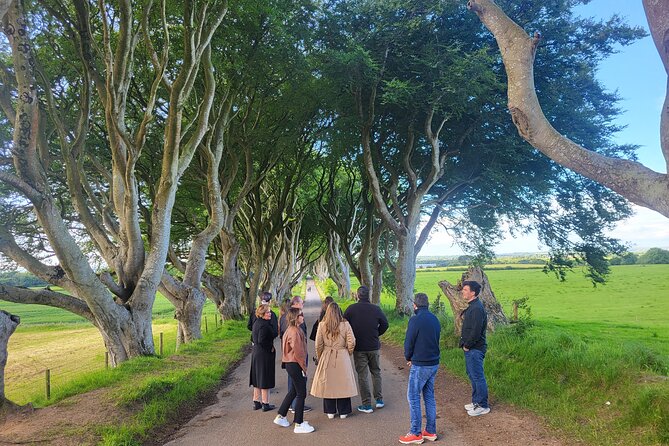 Belfast & Giants Causeway Luxury Mercedes Private Tour for 6 pax - Who Should Consider This Tour?