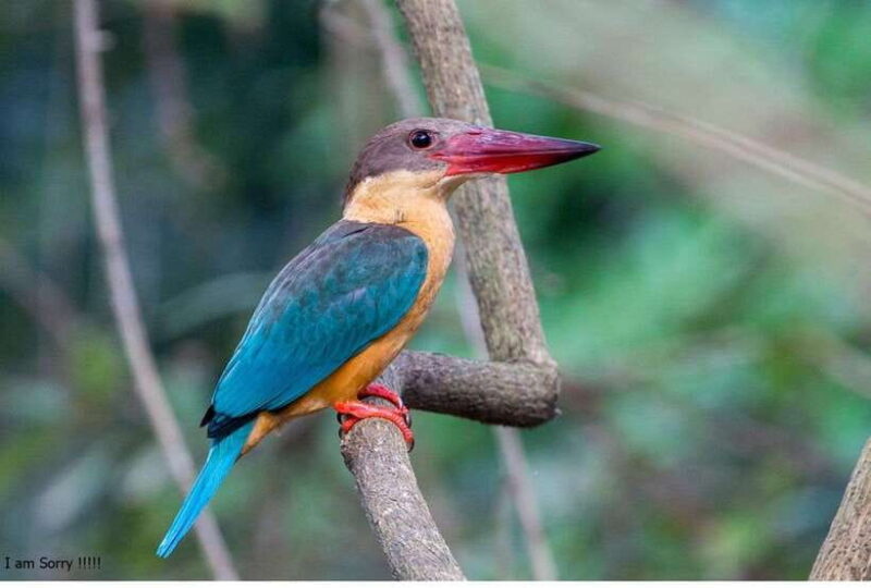 Bentota: All Inclusive Galle Dutch Fort & Madu River Safari - The Madu River Safari: Nature and Local Life