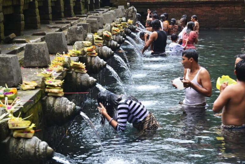 Best of Central Bali: Waterfall, Elephant Cave & Rice Fields - FAQs