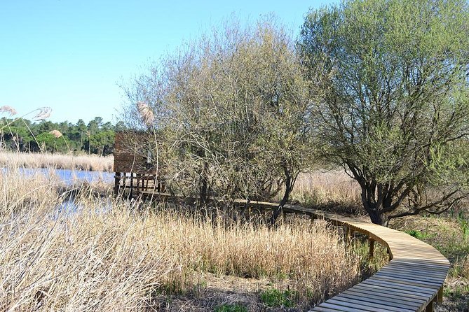 Bird Watching in Albufeira Lagoon - The Sum Up