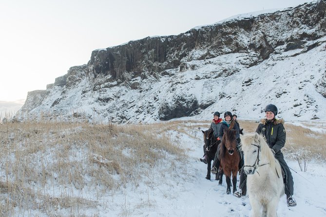 Black Sand Beach Horse Riding Tour from Vik - FAQs
