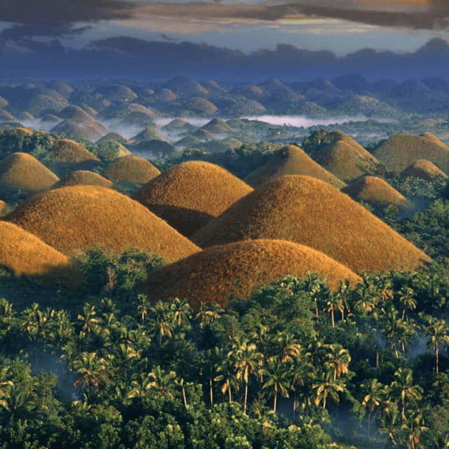 Bohol: Choco Tour with Lunch Buffet and Sikatuna Mirror - Practical Considerations and Tips