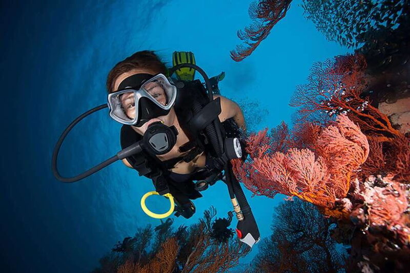 Bohol island: Fun dive local dive - Practical Considerations