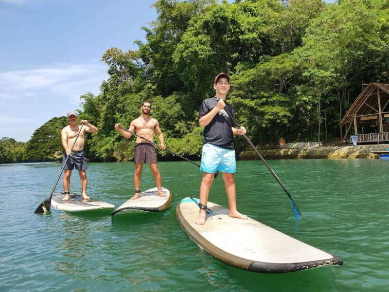 Bohol Tour Package: 3-Day Paradise Adventure - Transportation, Group Size, and Practical Considerations