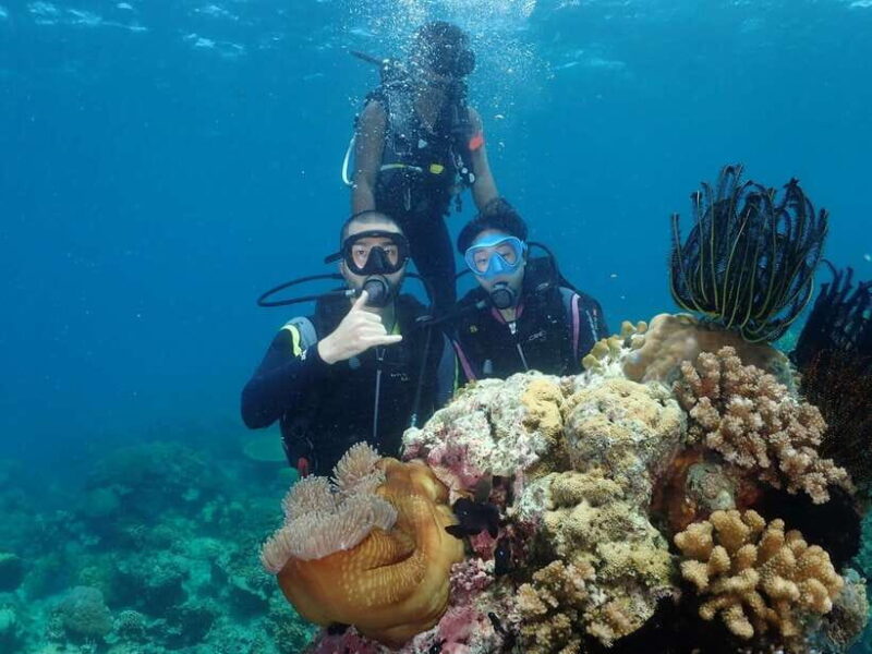 Boracay: 2-day Open Water PADI Diving Course - FAQ