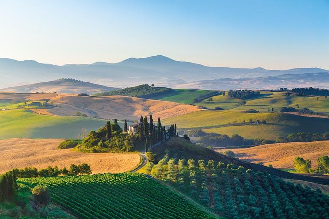 Brunello Wine Tasting from San Gimignano - Analyzing the Value versus Cost