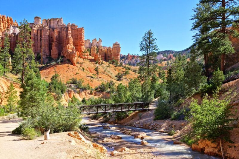 Bryce Canyon City Guided ATV/RZR Tour - What Makes This Tour Stand Out?