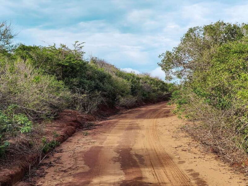 Bundala National Park Safari from Weligama - Who Would Enjoy This Tour?