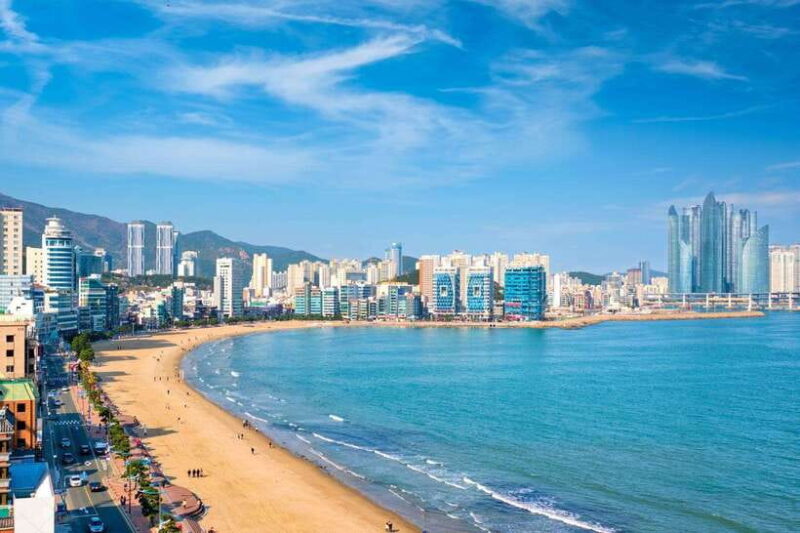 Busan City Customized Private Tour from Busan - A Deep Dive into the Itinerary