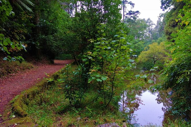 Bussaco Forest Walking Experience, half day from Coimbra - FAQs