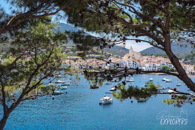 Cadaqués & Dalí House-Museum day trip from Girona (tickets included) - Who Is This Tour Best For?