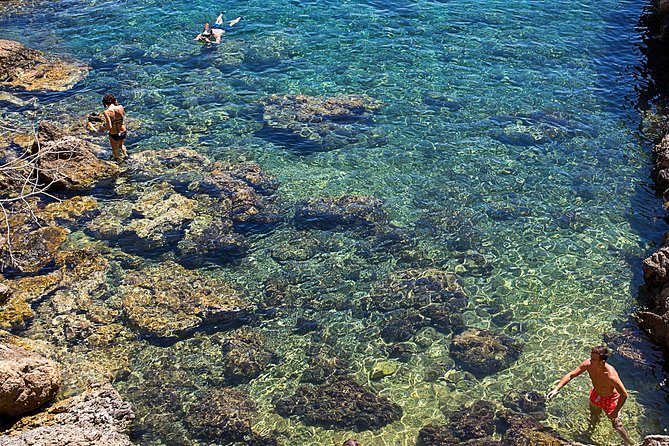 Cala Salada and Unspoiled North Beach Tour. Snorkelling and Aquarium - Practical Tips for Your Day Out