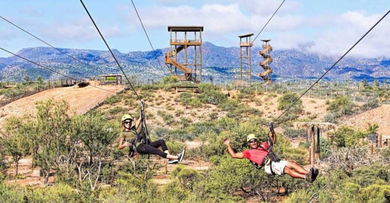 Camp Verde: Predator Zip Lines Guided Tour - Who Should Consider This Tour?