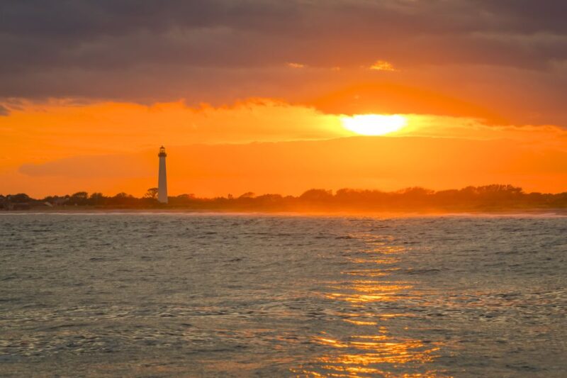Cape May: Weekend Whale and Dolphin Watching Cruise - What Reviewers Say