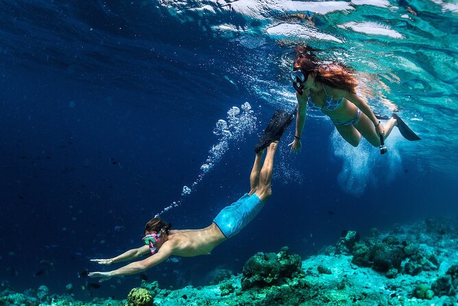 Capri Island Small Group Boat Tour from Naples - Authentic Experiences and Traveler Insights