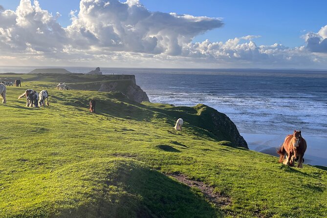 Cardiff: Gower Peninsula's Cliffs & Bays Scenic Day Tour - Who Is This Tour Best For?