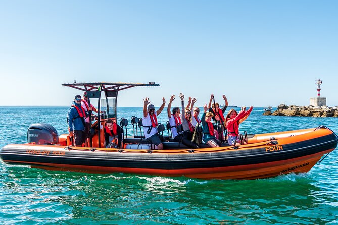 Cascais coast: Dolphin watching - Final Thoughts: Who Should Consider This Tour?