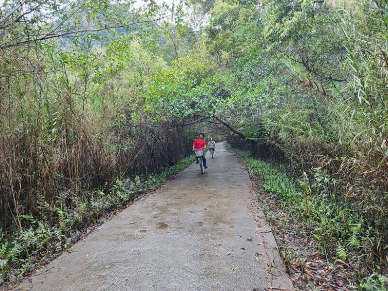 Cat Ba National Park Full Day Guide Tour Trekking & Kayaking - Who Should Consider This Tour?