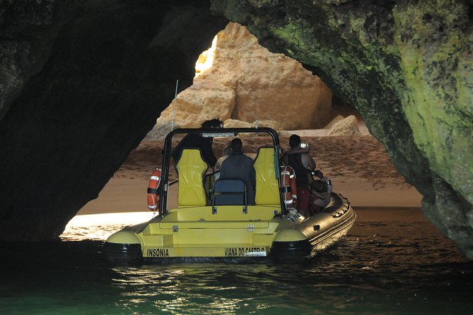 Caves and Dolphin Watching Cruise from Albufeira - Authentic Experiences and Notable Feedback